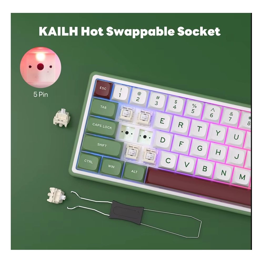 Royal Kludge RK R65 RGB Mechanical Keyboard, Brown switch, Hot ...